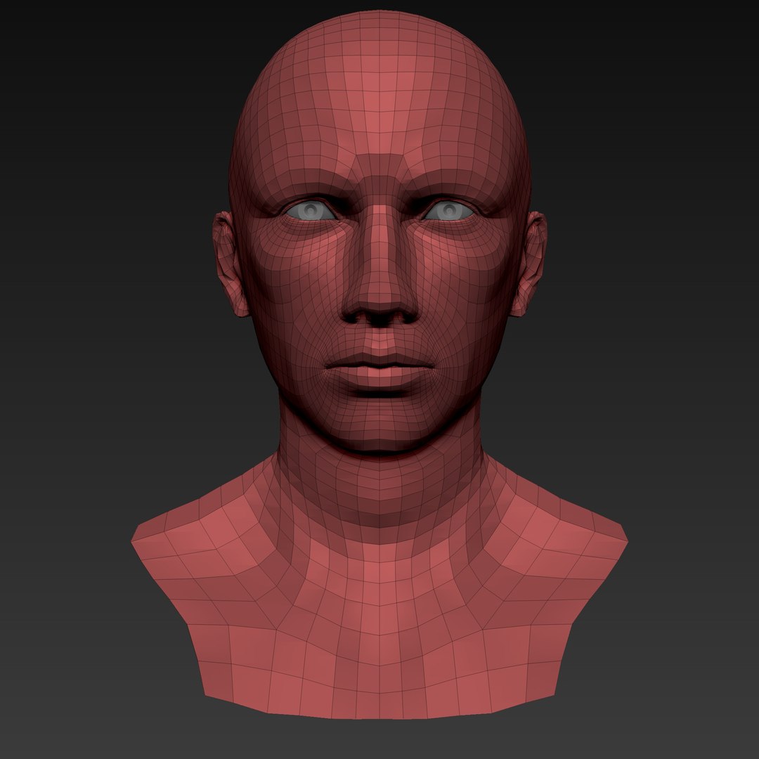 realistic head 3d model