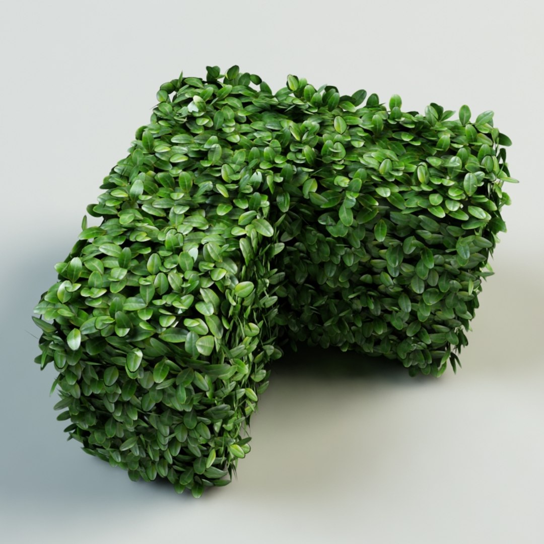 Corner Hedge Bushes 3ds