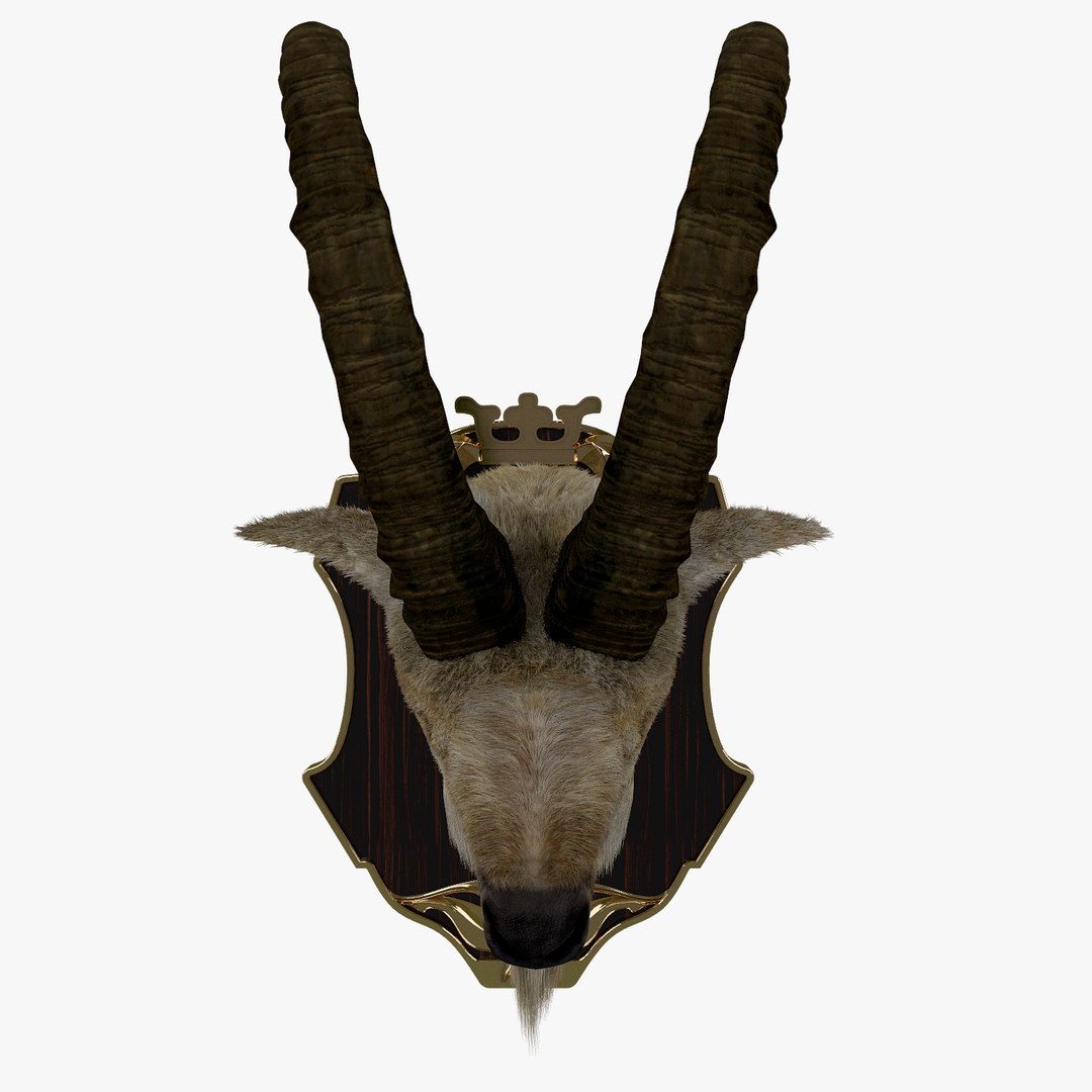3d Goat Head