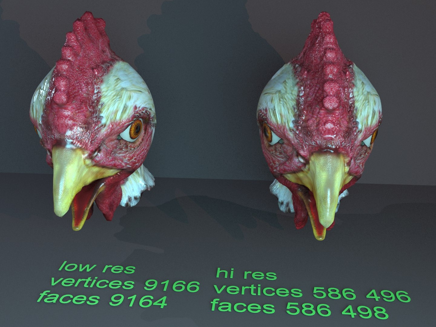 Head Chicken 3D Model - TurboSquid 1611346