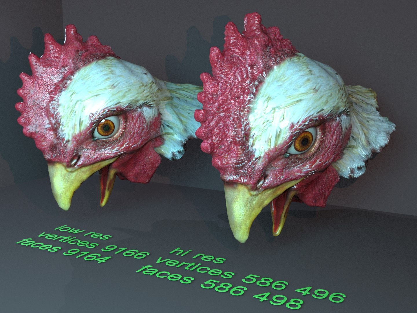 Head Chicken 3D Model - TurboSquid 1611346