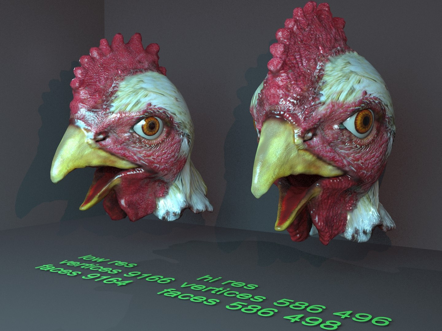 Head Chicken 3D Model - TurboSquid 1611346