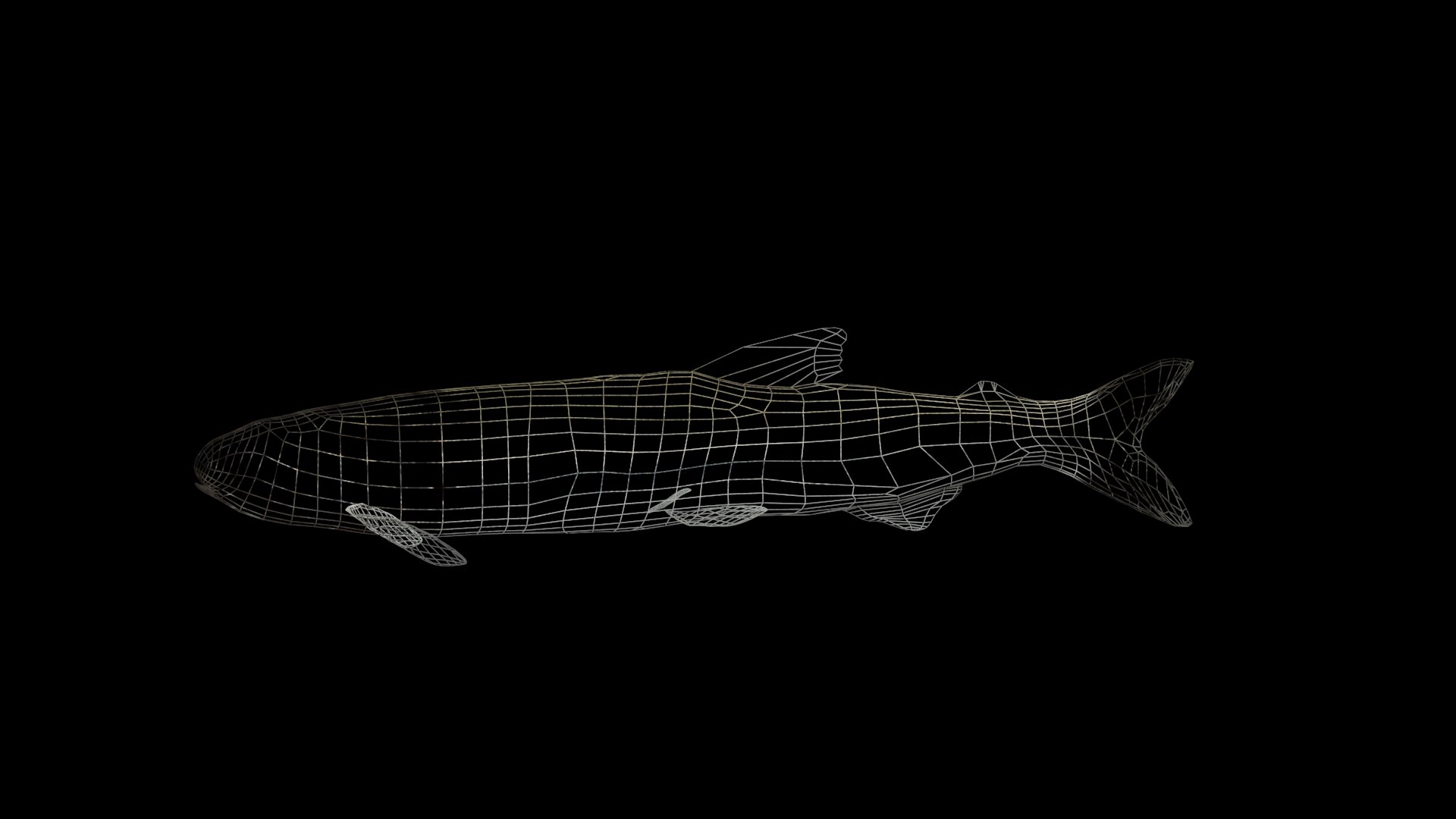 3D Model Eulachon Aka Candlefish Fish - TurboSquid 1294527