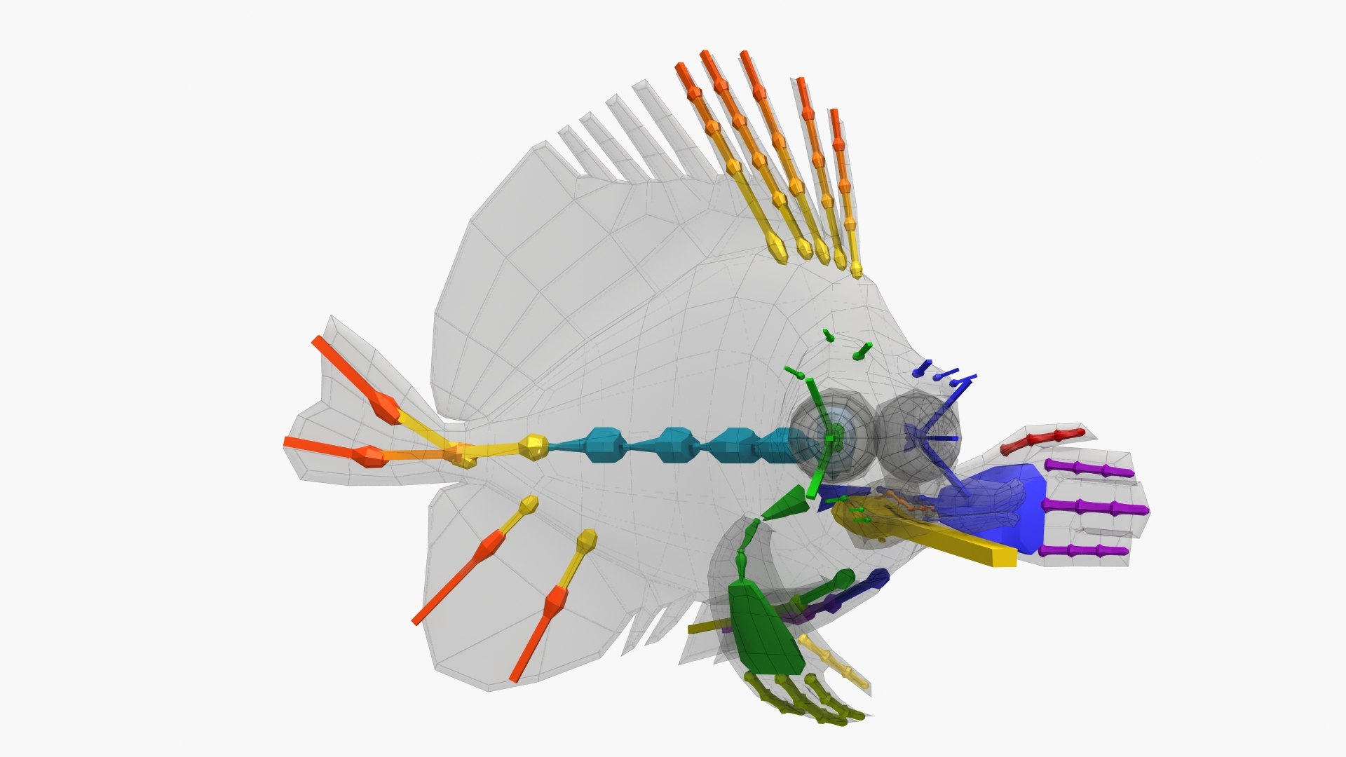 3D Rig Fish Forcipiger - TurboSquid 1574071