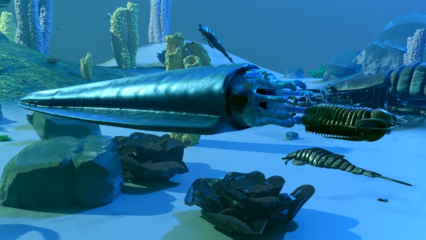 3D Gonioceras Models | TurboSquid