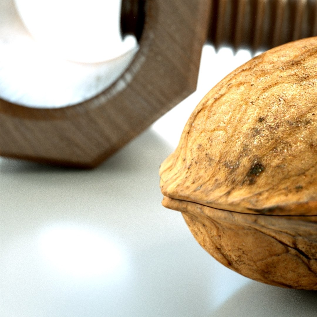 3d Nutcracker Nuts