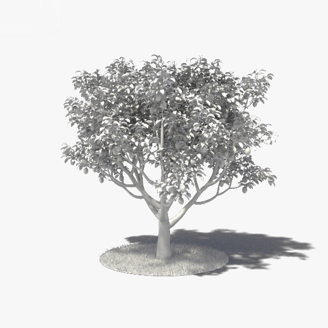 3D model lemon tree - TurboSquid 1501581