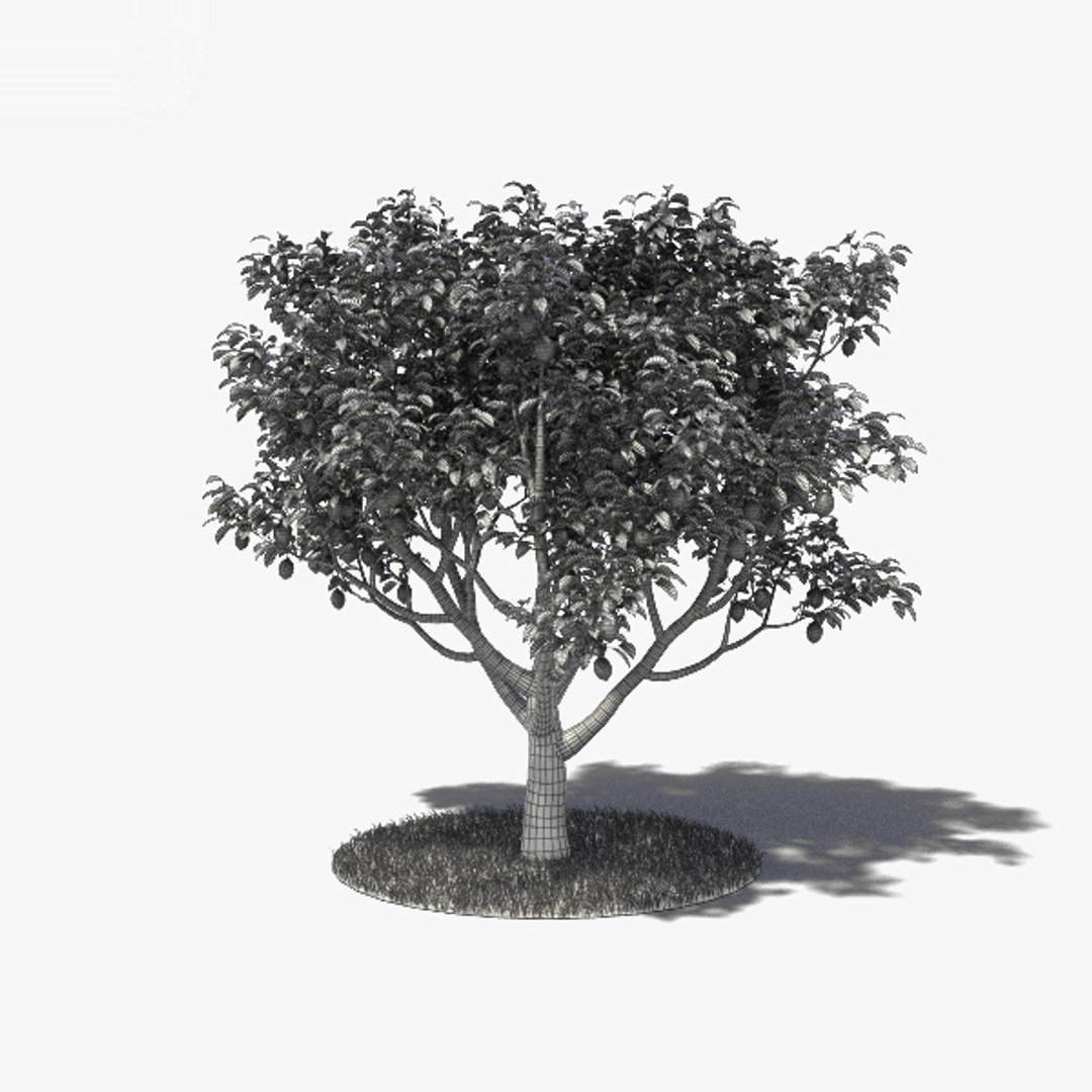 3D model lemon tree - TurboSquid 1501581