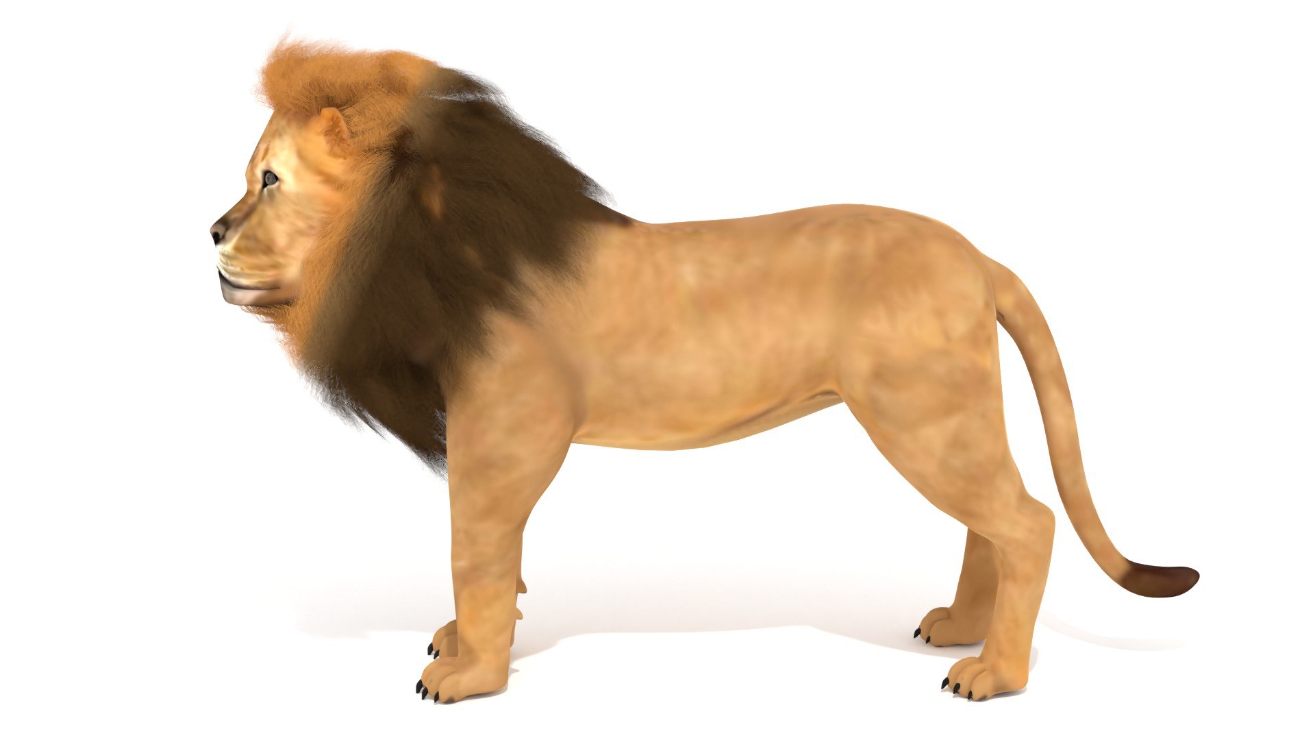 LionRigged 3D Model - TurboSquid 1759735