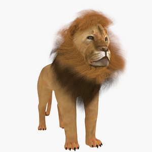 Download 3D Lion Blender Models - TurboSquid