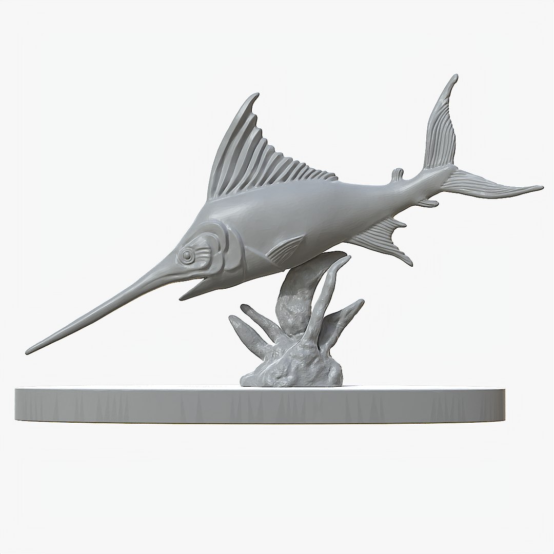 3D Swordfish Model - TurboSquid 1919382
