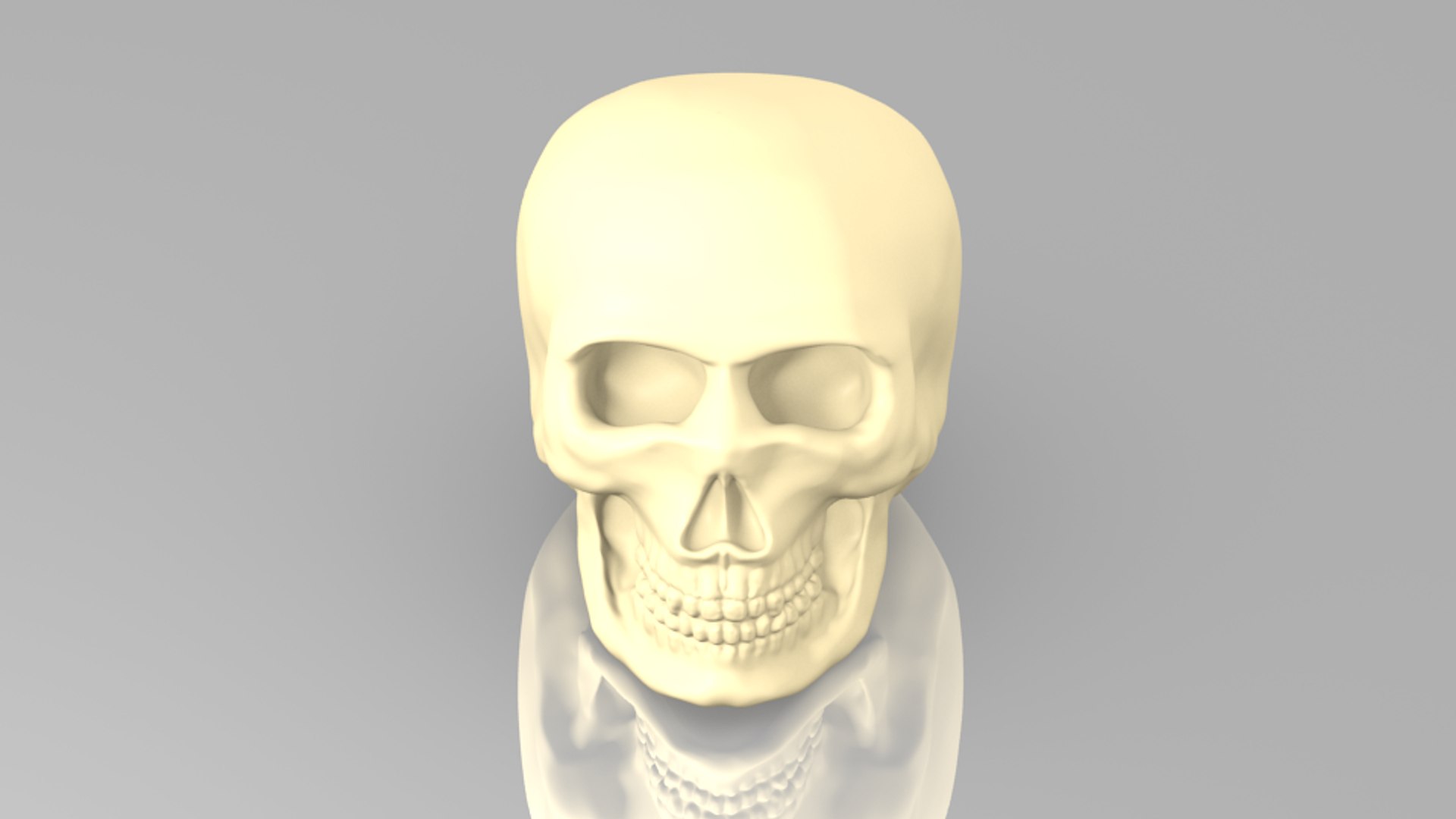 skull 3d model