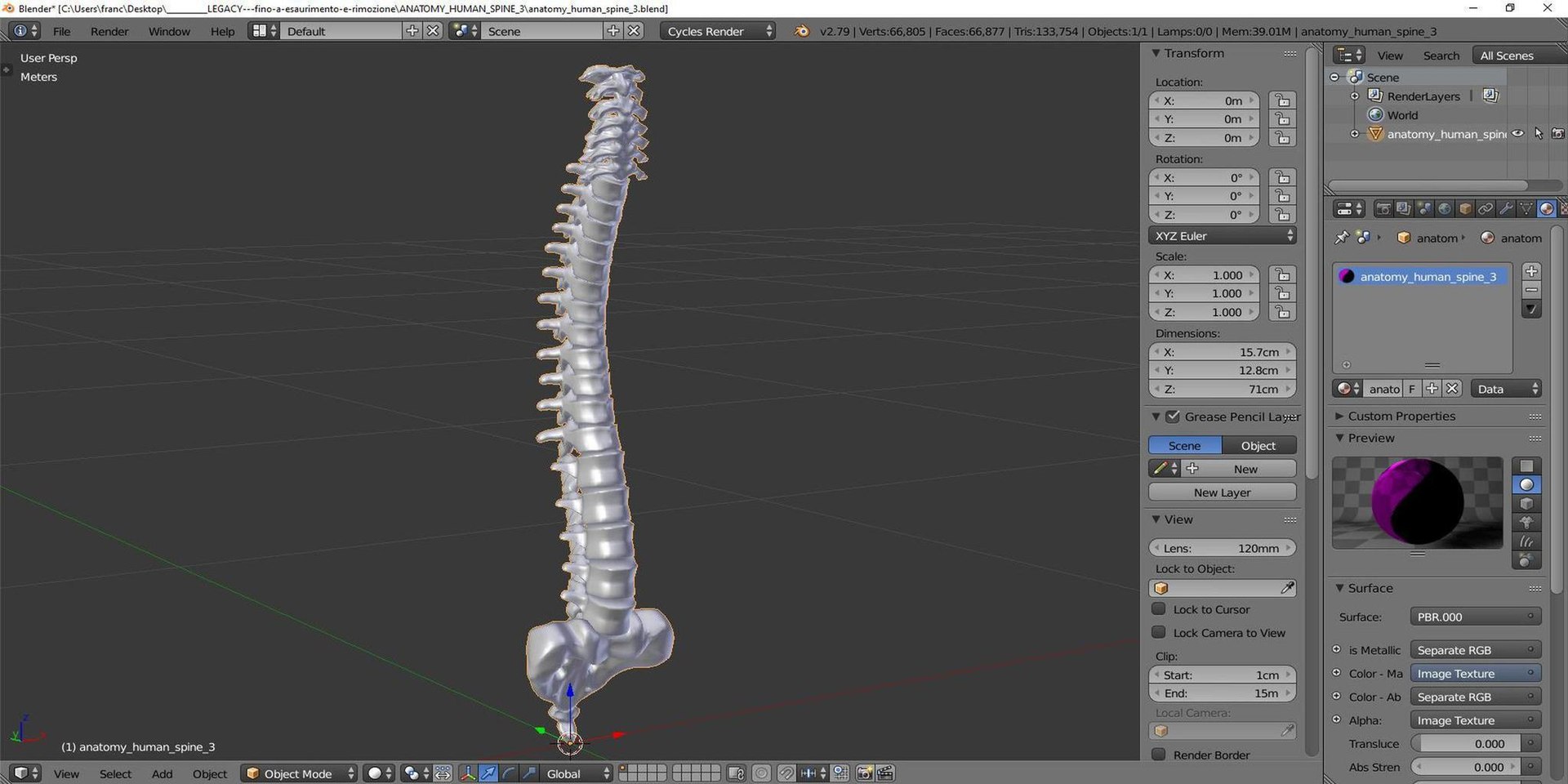 3D Human Spine Model - TurboSquid 1170736