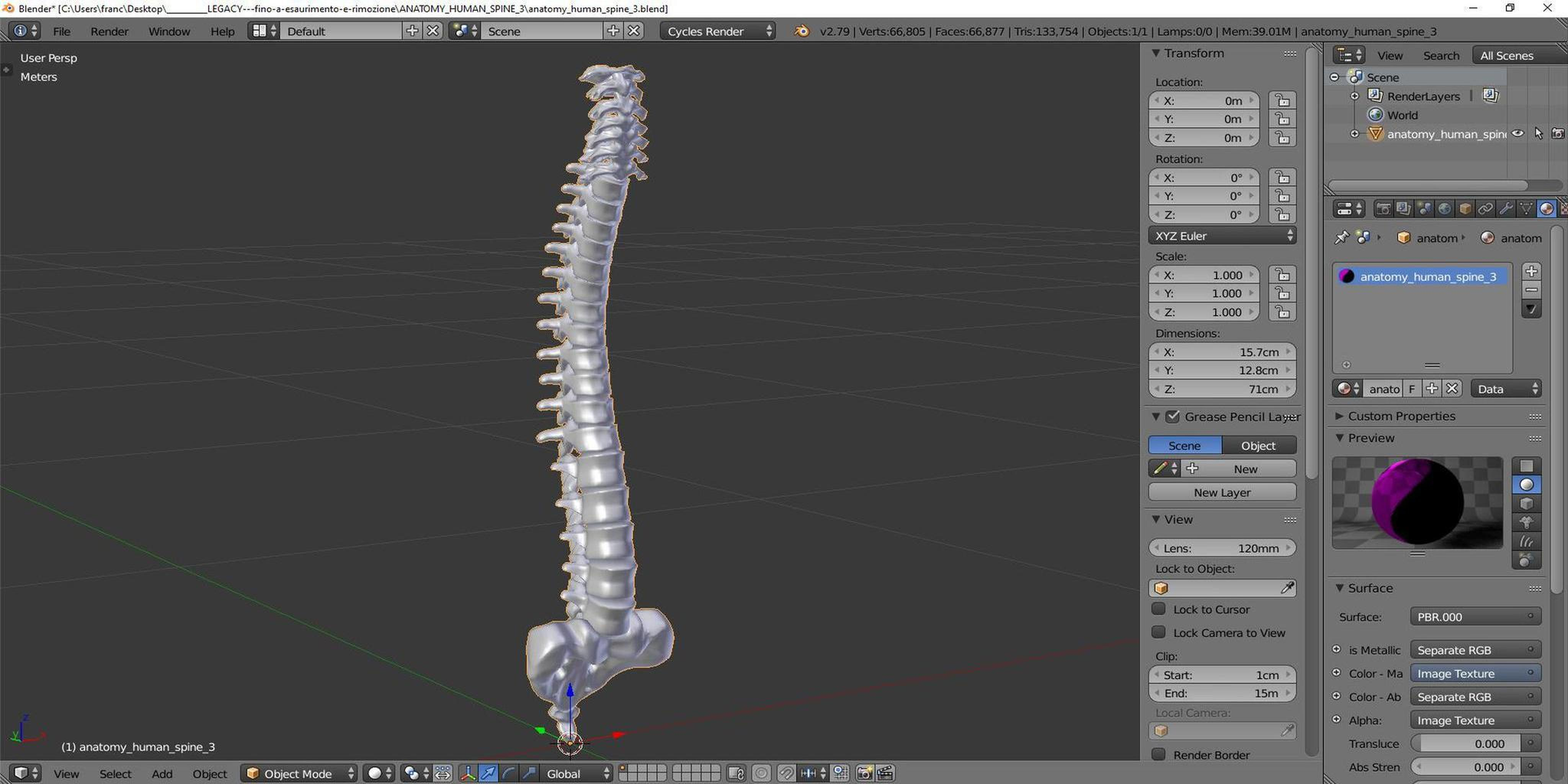 3D human spine model - TurboSquid 1170736