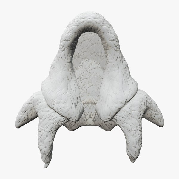 Fantasy Fur Bolero Hoodie Top model - TurboSquid 1970080
