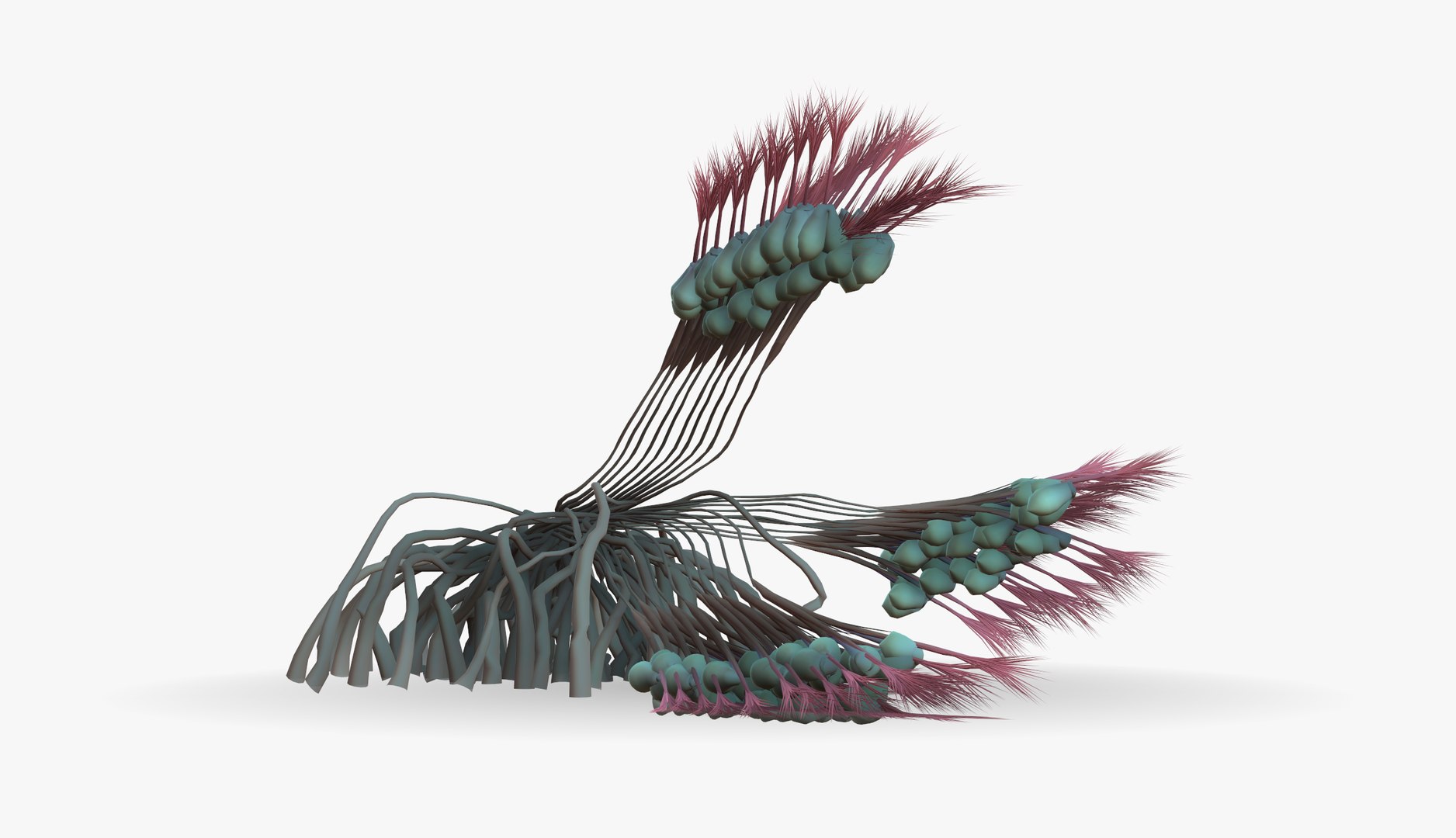 Alien Plants Set 003 3D Model - TurboSquid 2129901