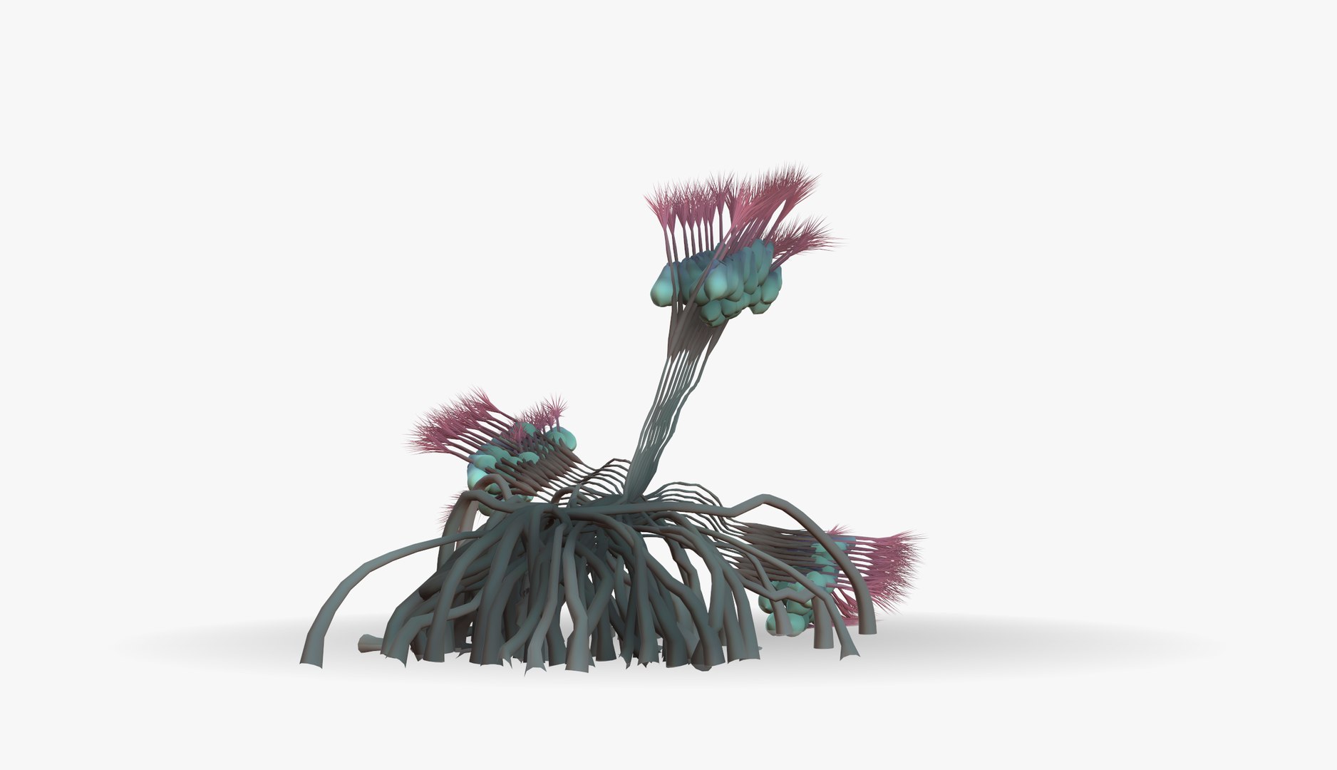 Alien Plants Set 003 3D Model - TurboSquid 2129901