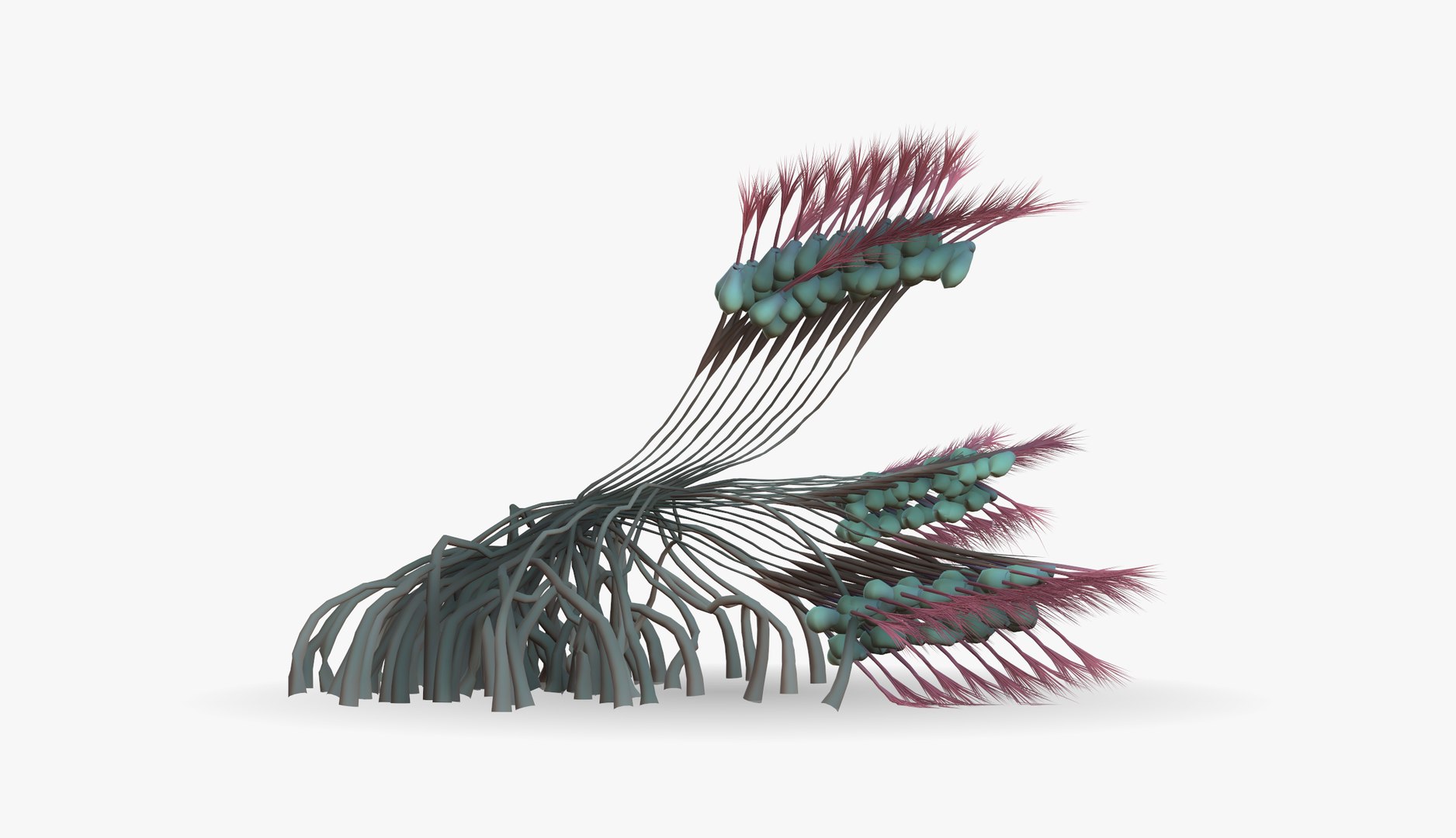 Alien Plants Set 003 3D Model - TurboSquid 2129901