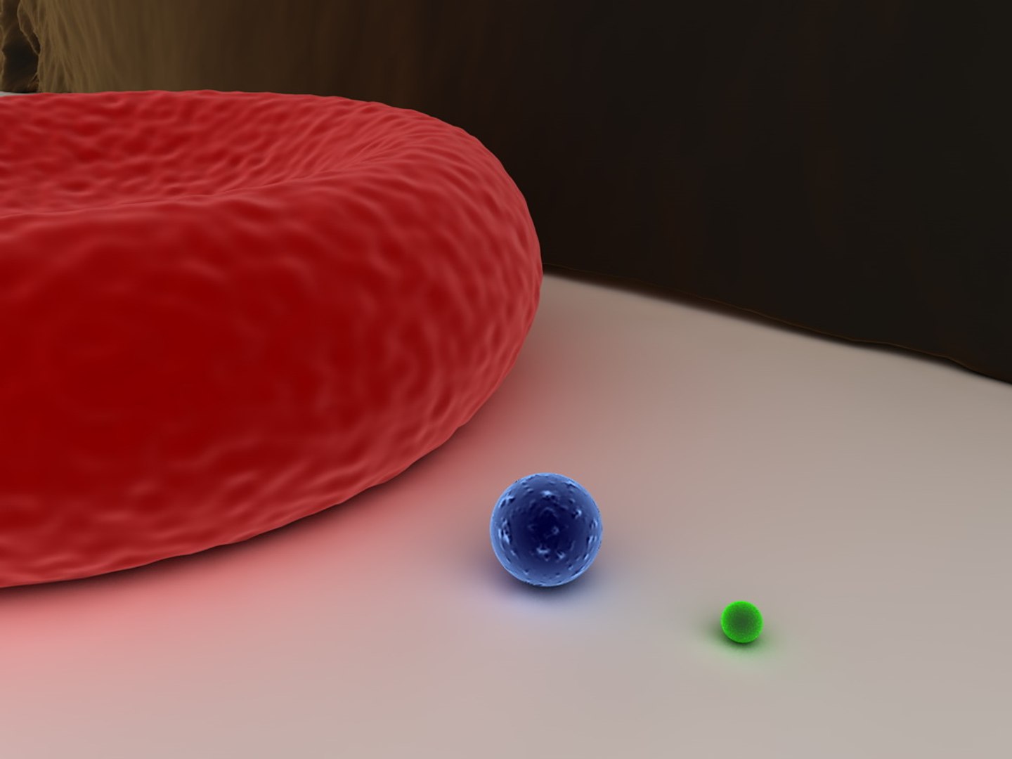 microbiological bacteria cell 3d model
