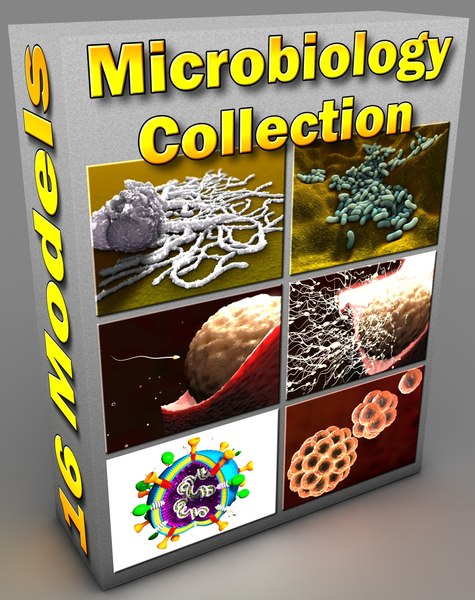 3D microbes bacteria cells - TurboSquid 1626118