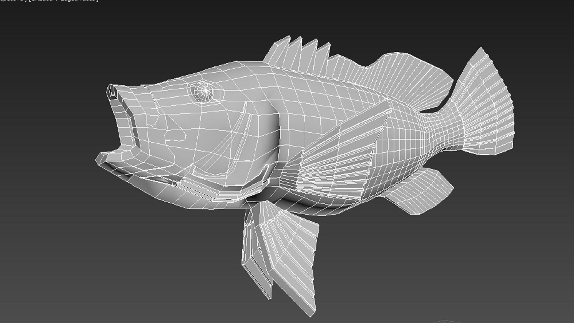 3D Model Bass Fish - TurboSquid 1691541