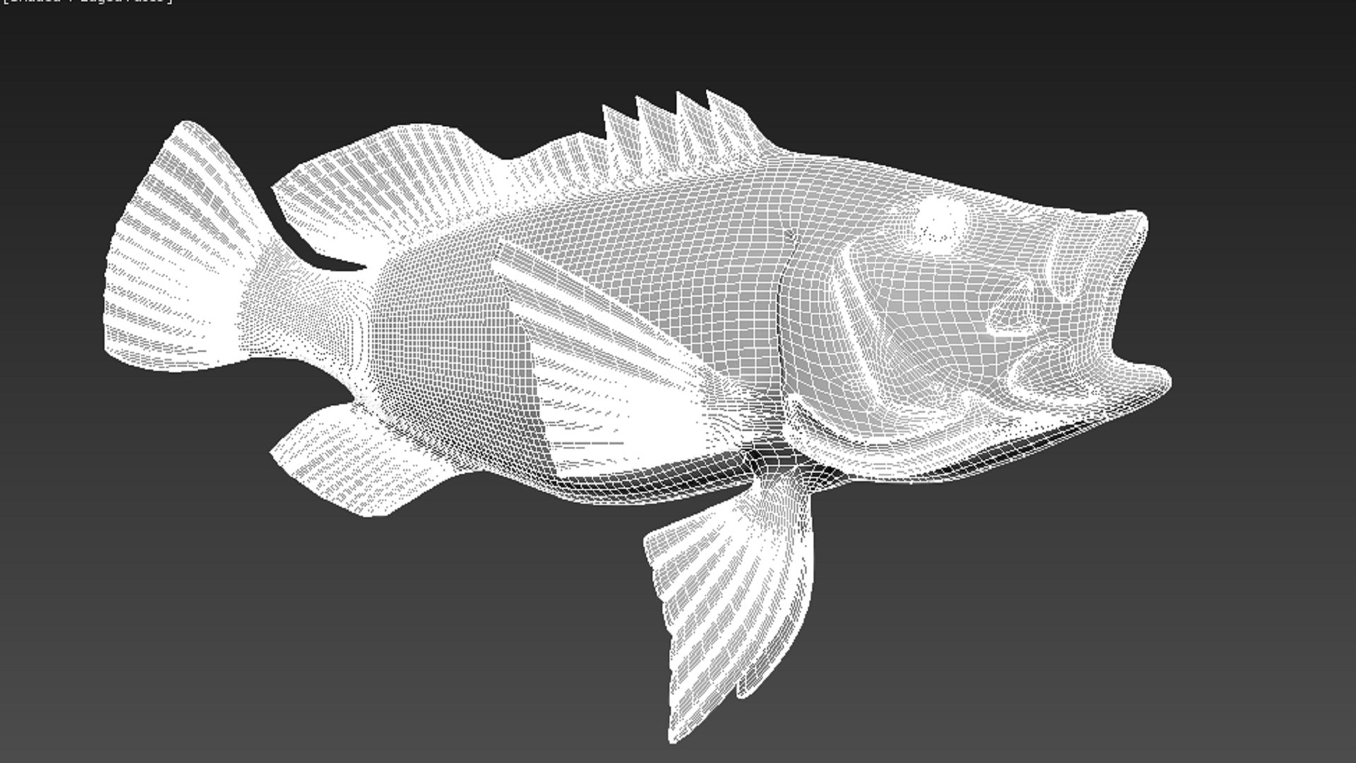 3D Model Bass Fish - TurboSquid 1691541