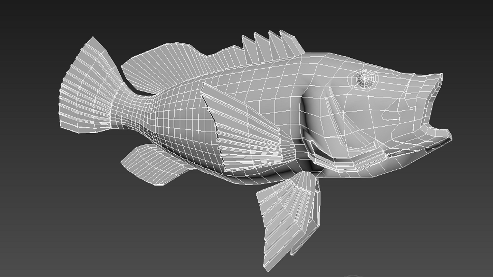 3D Model Bass Fish - TurboSquid 1691541