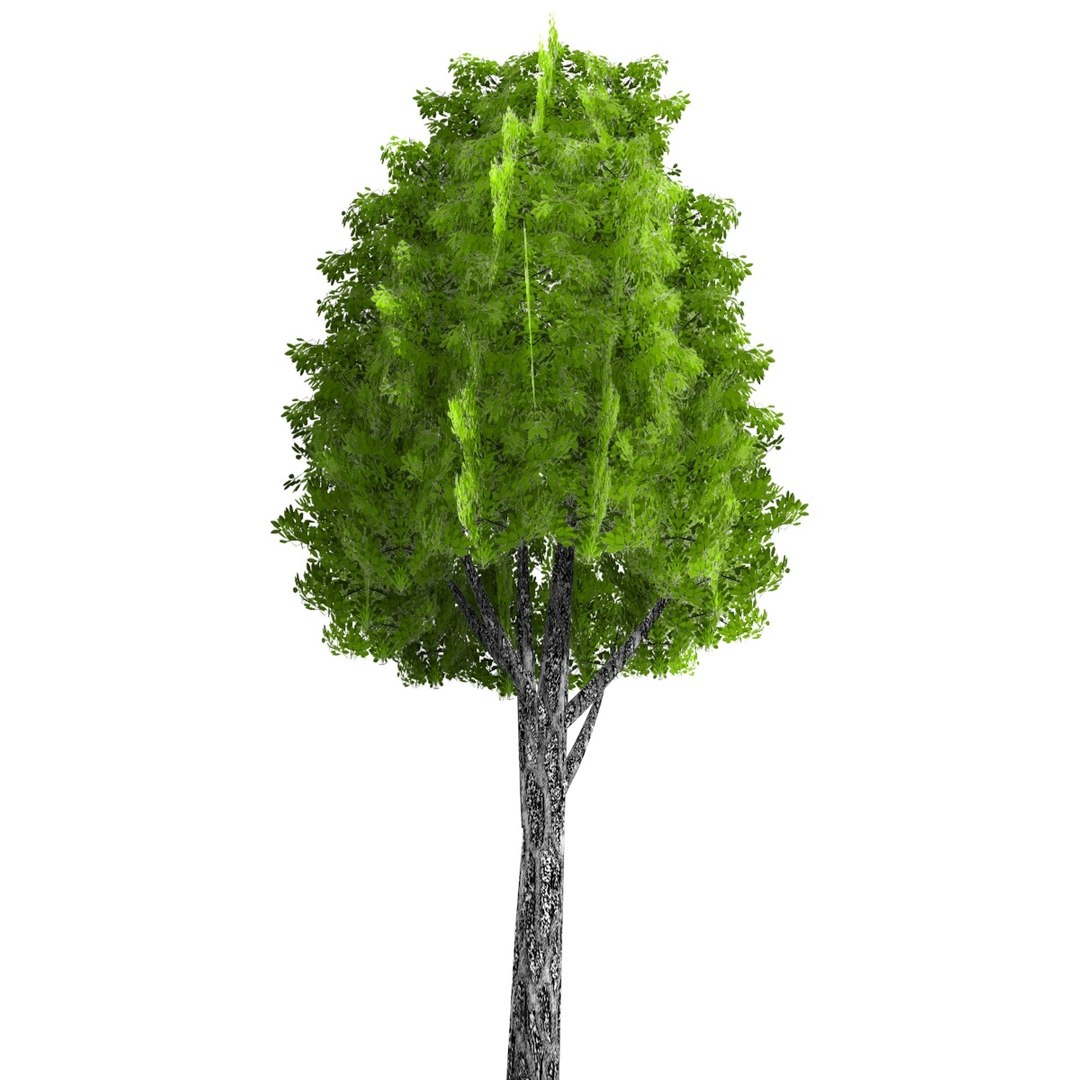 3d model pc tree