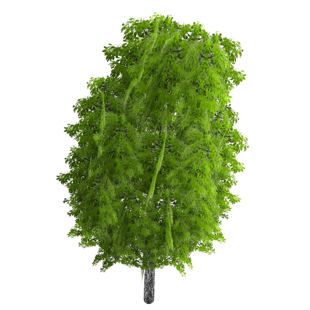 3d model pc tree