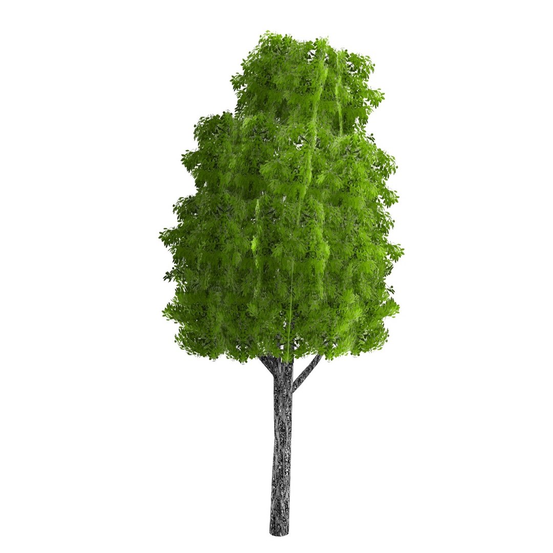 3d model pc tree