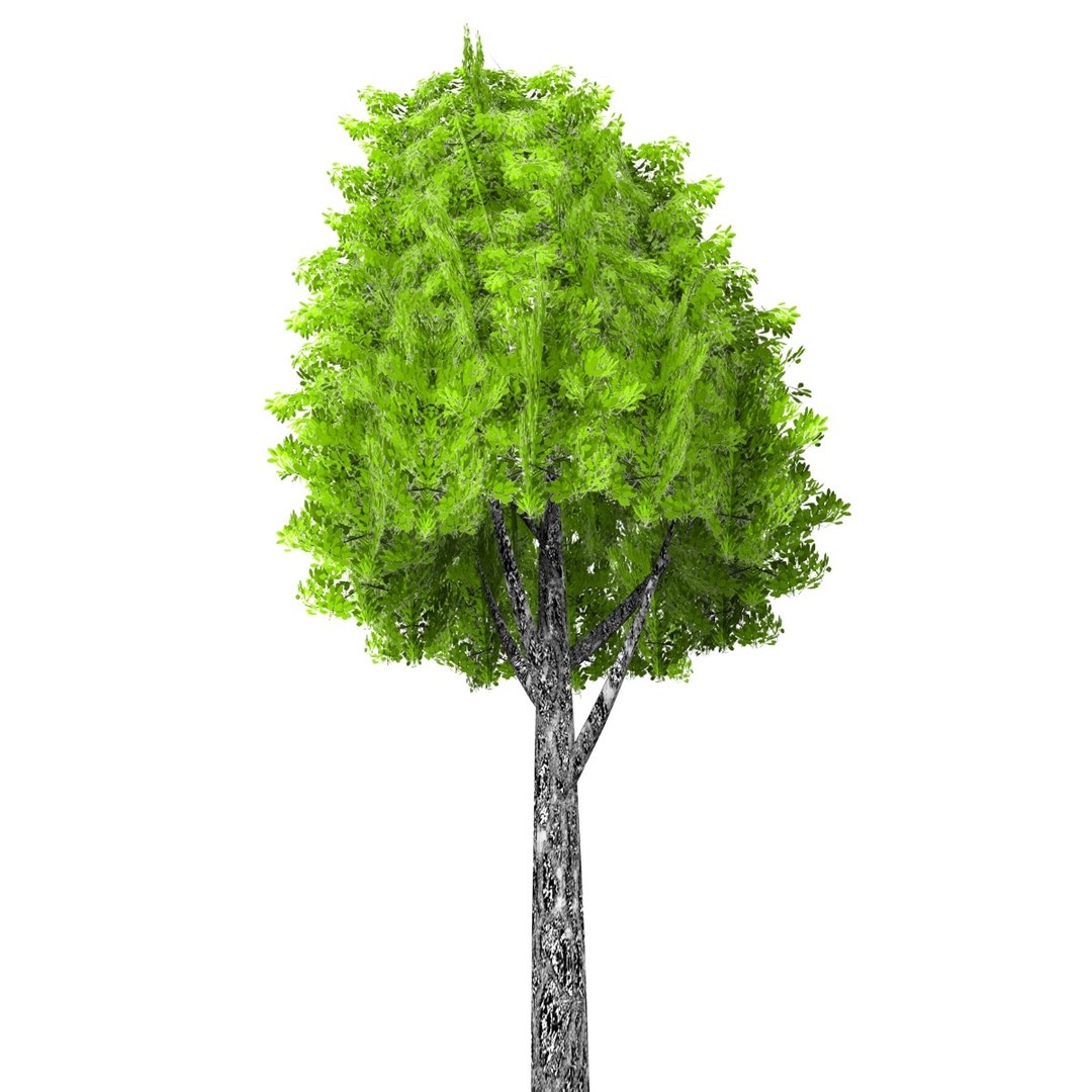 3d model pc tree