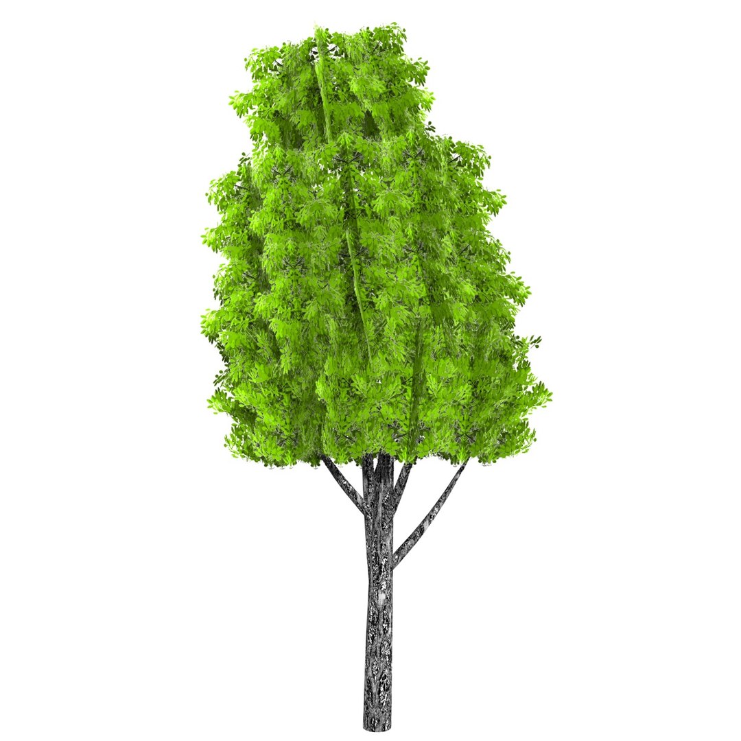 3d model pc tree