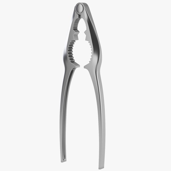 3D Nut Cracker model - TurboSquid 1968557
