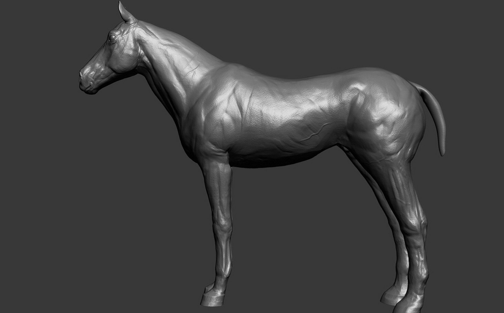 3D Horse Realistic Model - TurboSquid 2239542