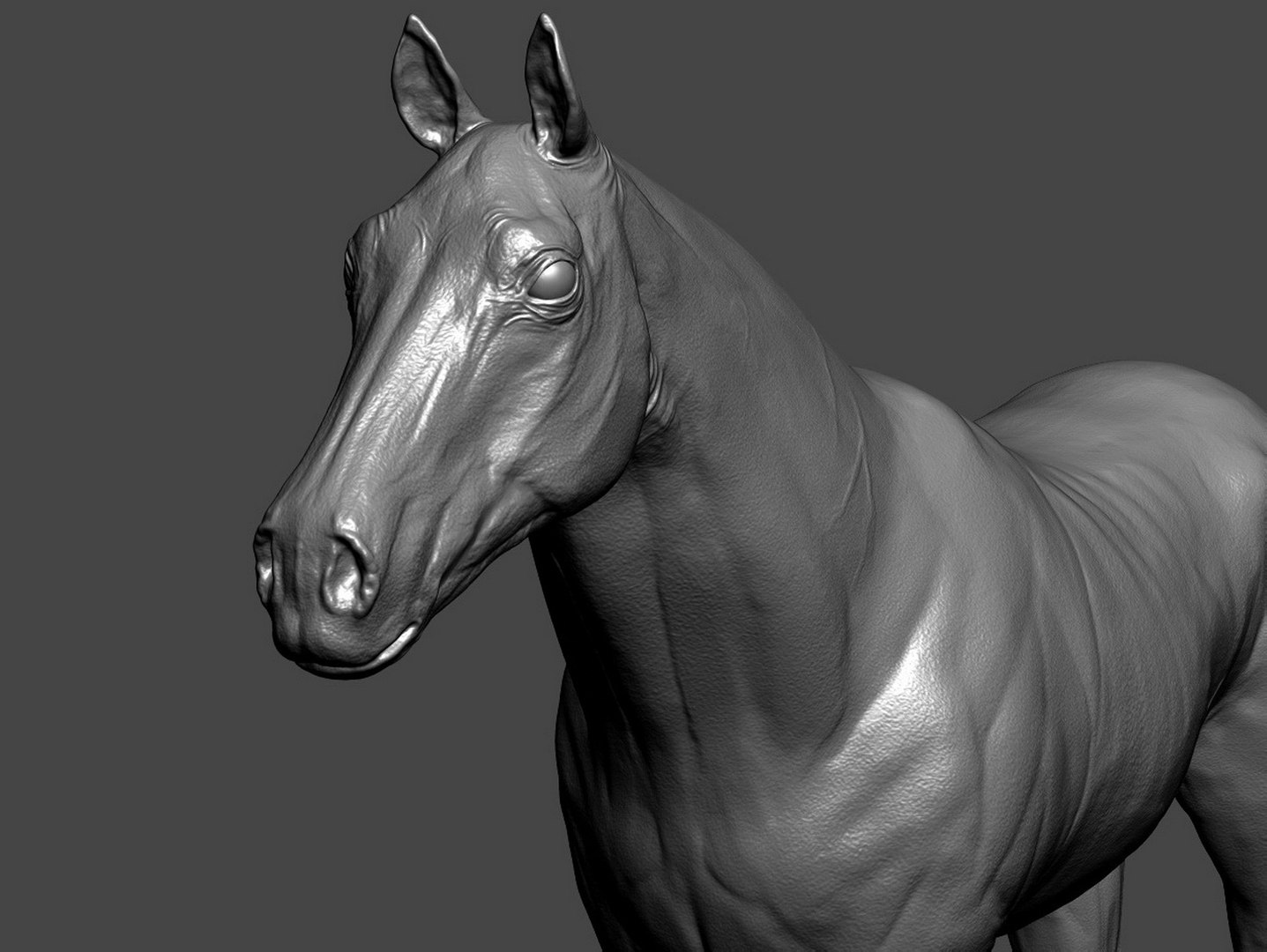 3D Horse Realistic Model - TurboSquid 2239542
