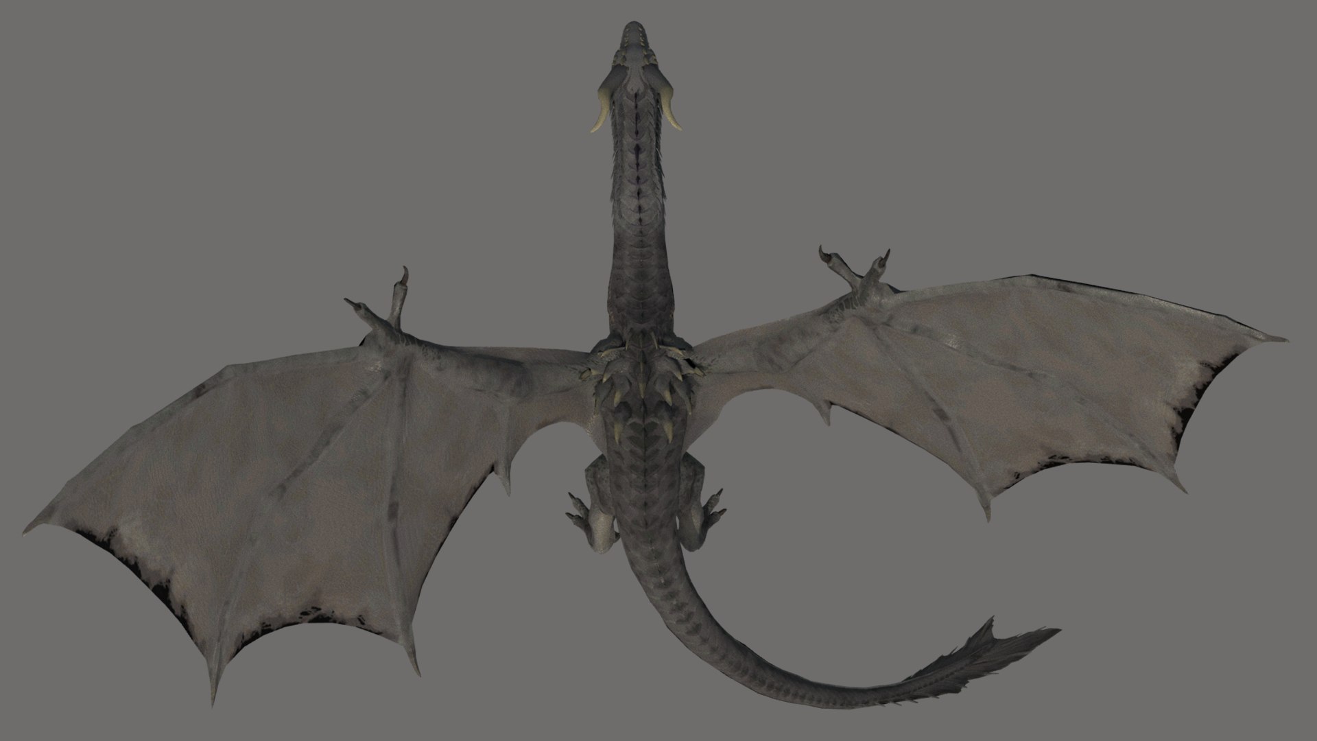 Wyvern Rigged 3D Model - TurboSquid 2088929