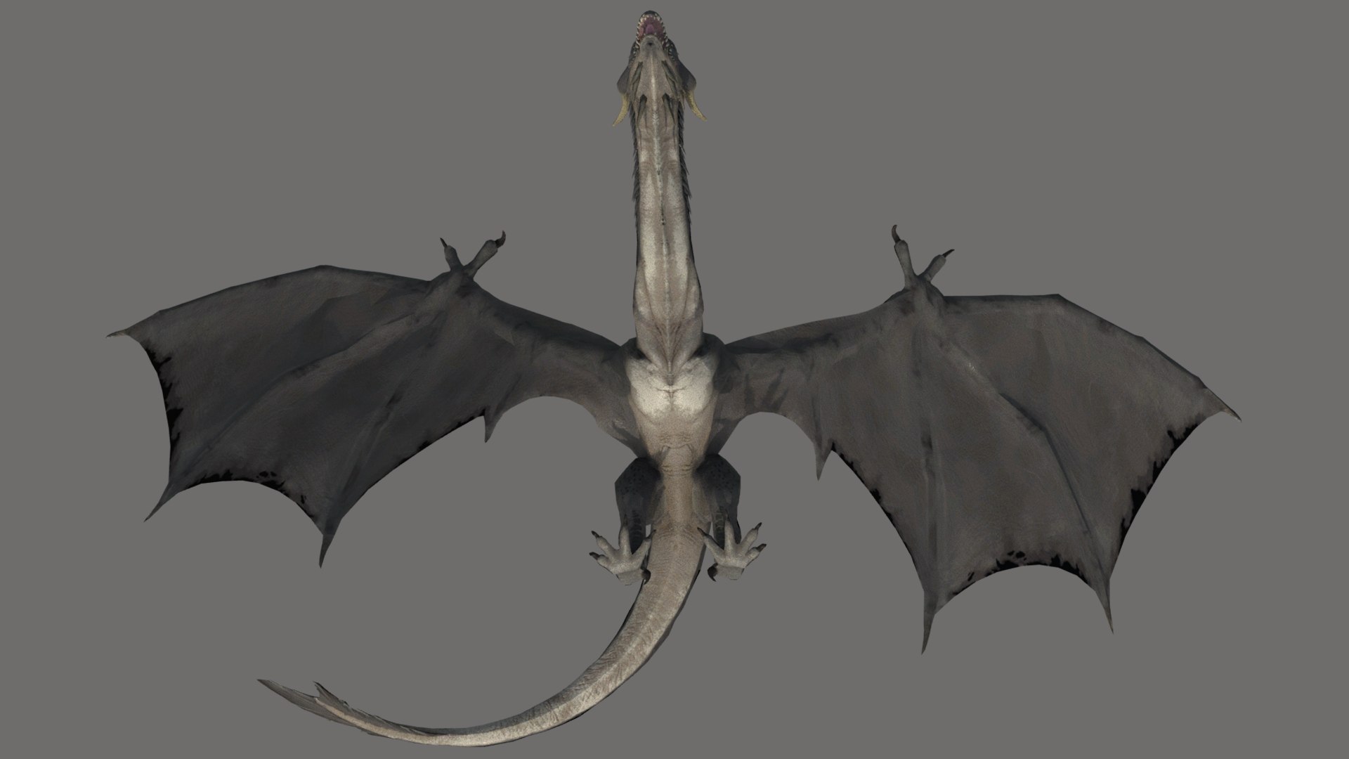 Wyvern Rigged 3D Model - TurboSquid 2088929