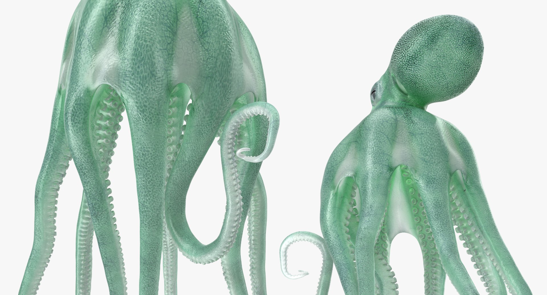 3D Blue Octopus Swiming Pose Model - TurboSquid 1151675