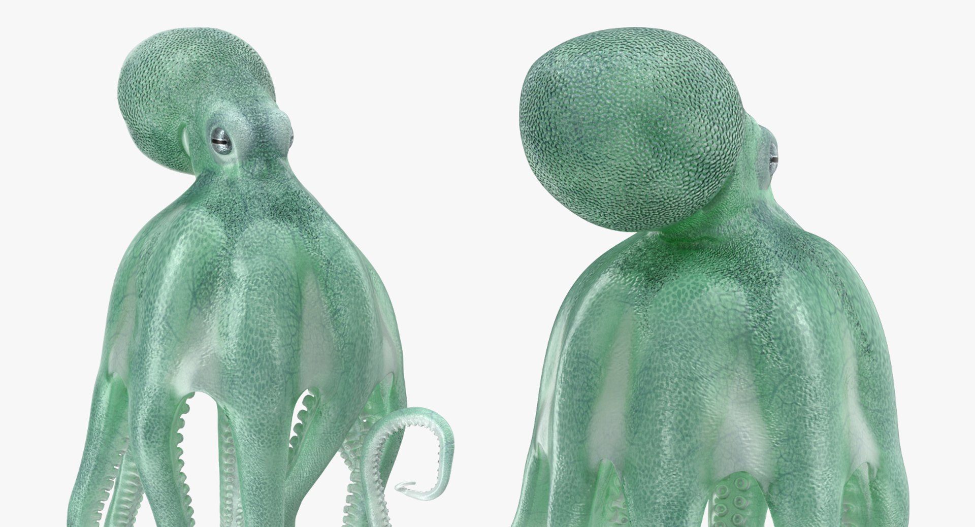 3D Blue Octopus Swiming Pose Model - TurboSquid 1151675