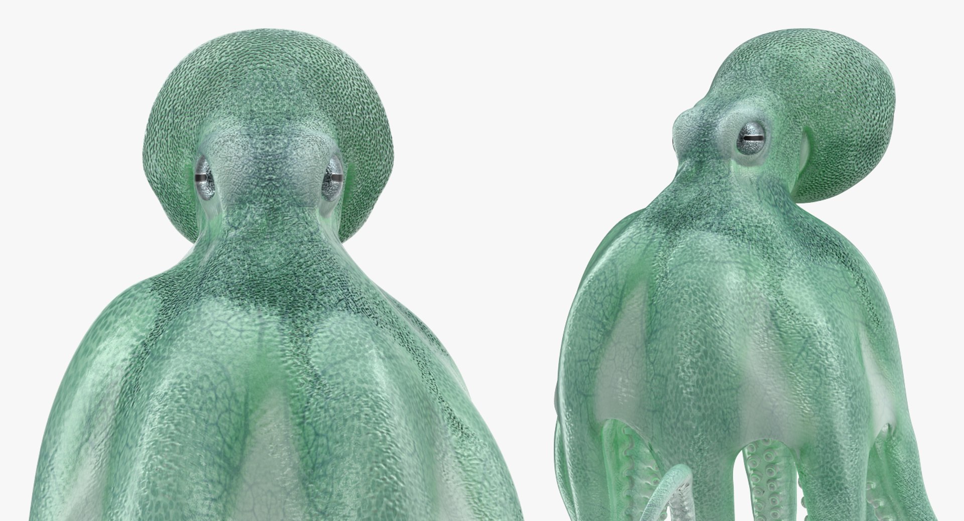 3D Blue Octopus Swiming Pose Model - TurboSquid 1151675