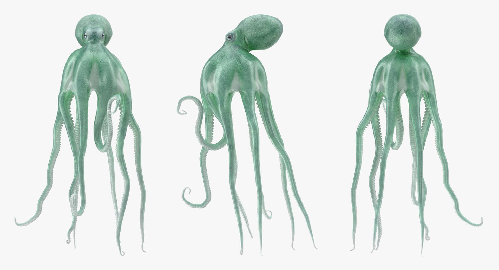 3D Blue Octopus Swiming Pose Model - TurboSquid 1151675