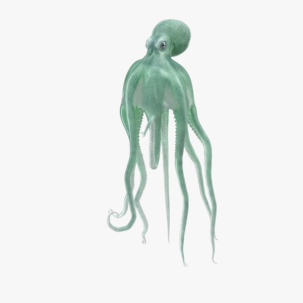 3D blue octopus swiming pose model - TurboSquid 1151675