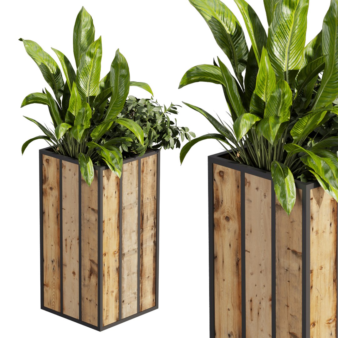 Collection plant vol 514 - box - banana - office 3D model - TurboSquid 2110490