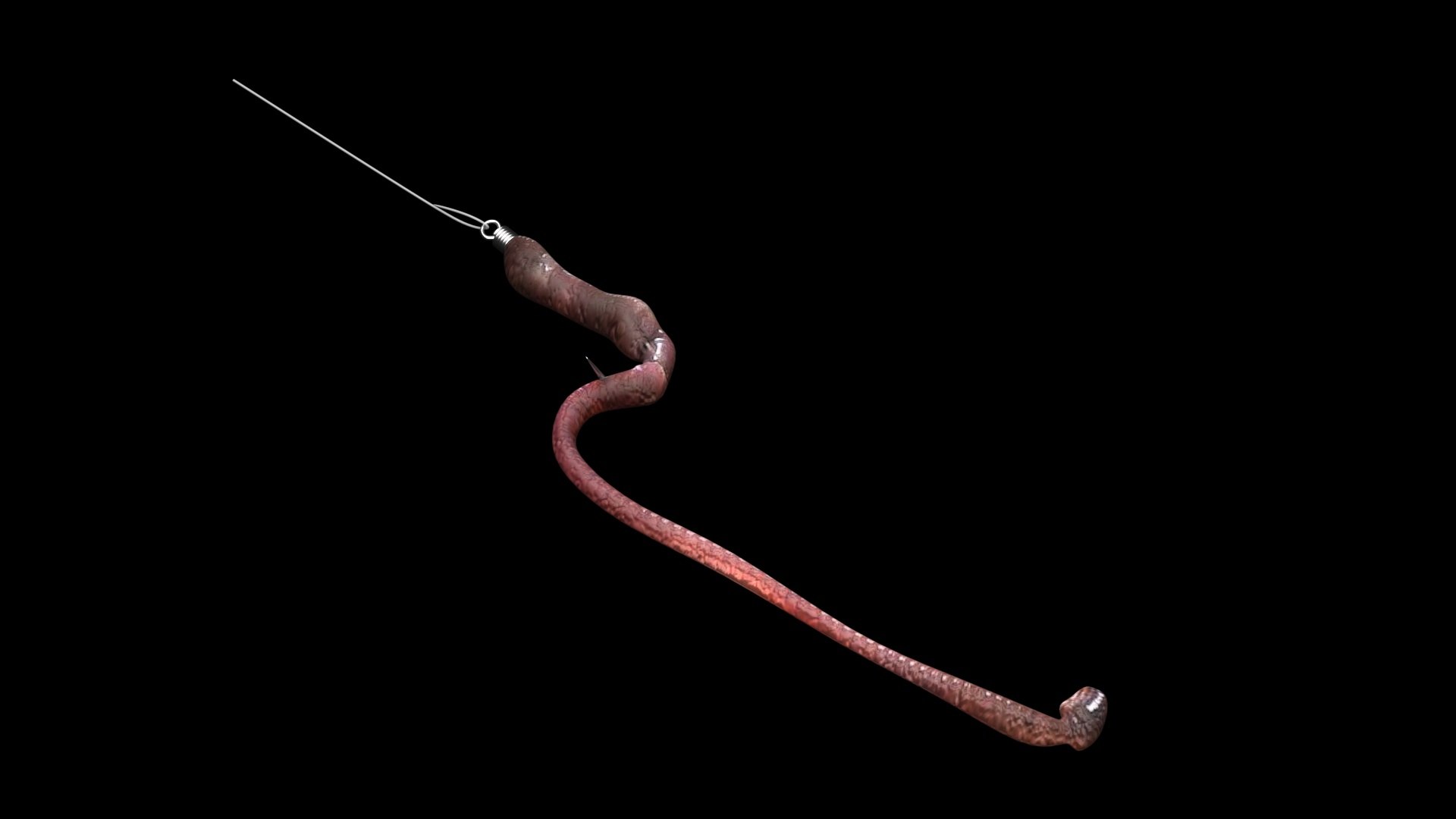3D Hookworm - TurboSquid 2269468