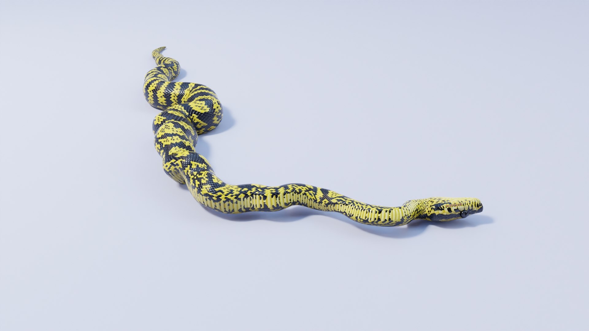 Animated Zebra Jungle Carpet Python 3D Model - TurboSquid 1950284