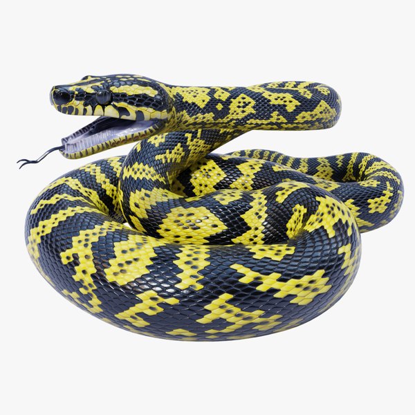 Animated Zebra Jungle Carpet Python 3D model - TurboSquid 1950284