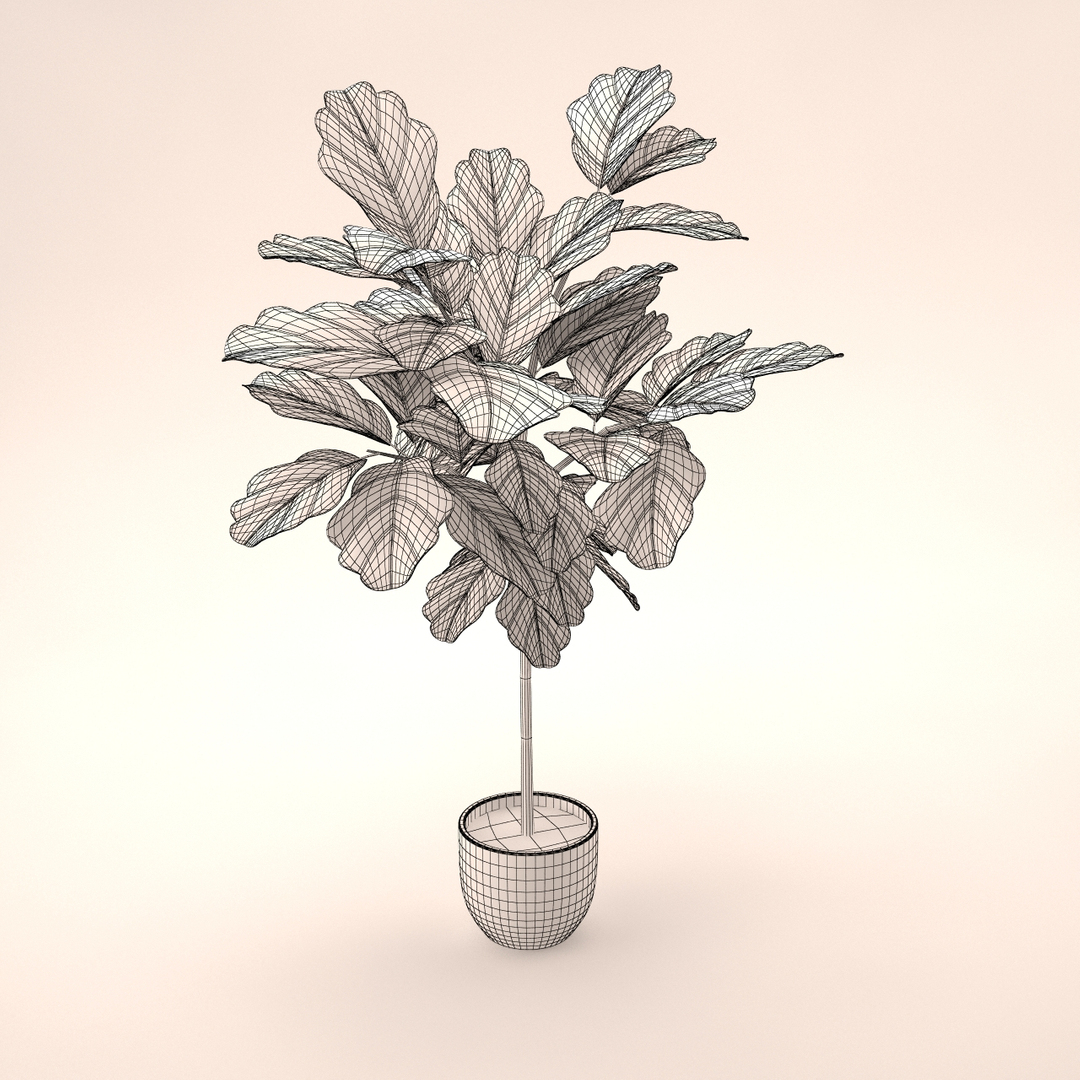 3d potted tree oak