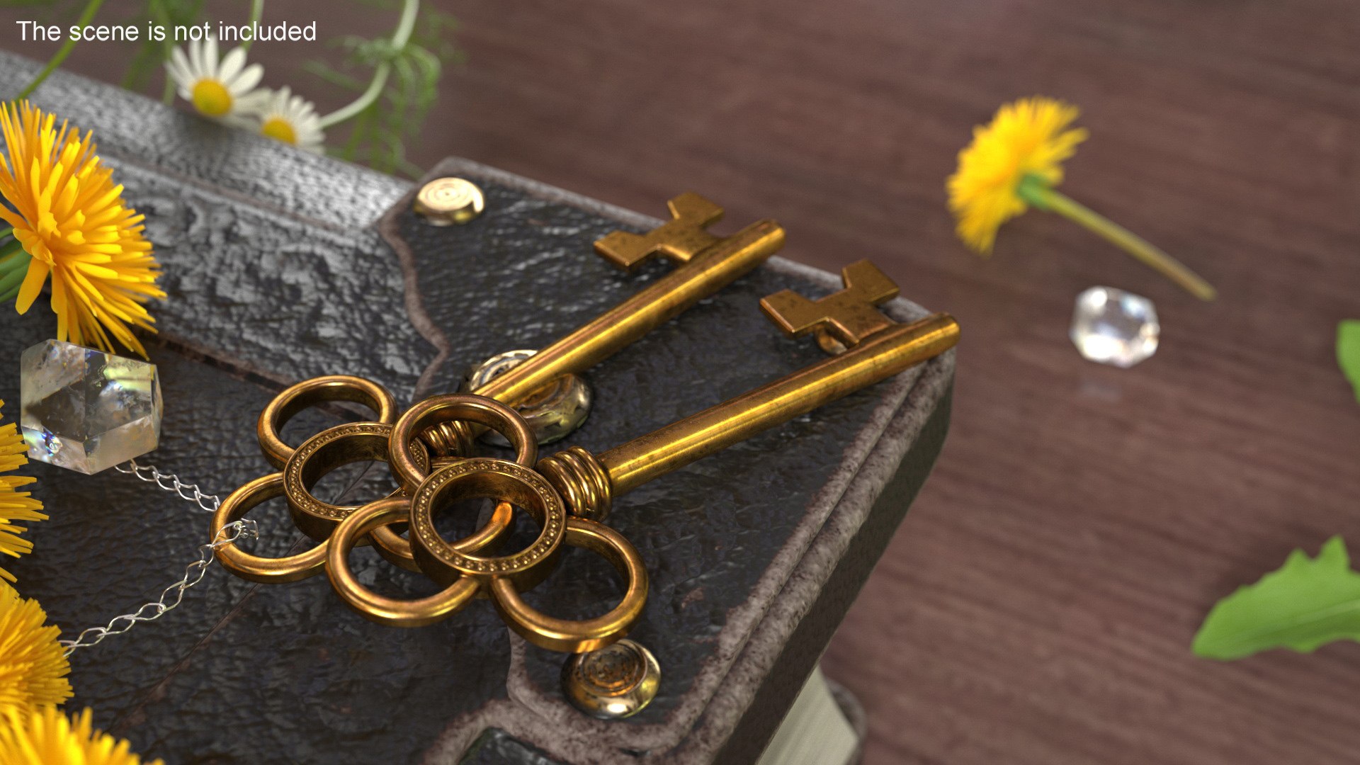 Traditional Skeleton Key Gold 3D Model - TurboSquid 2246209