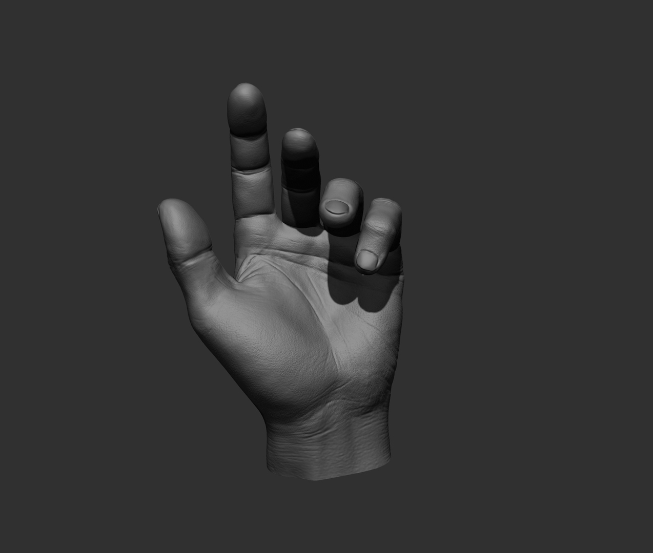 3D Male hand model - TurboSquid 1774796