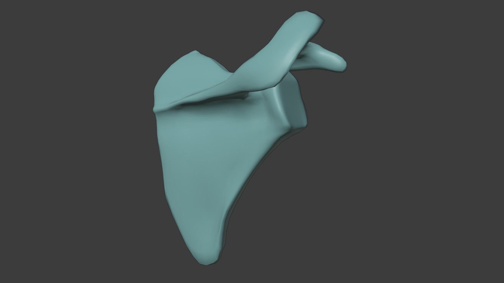 3D Scapula - TurboSquid 1699379